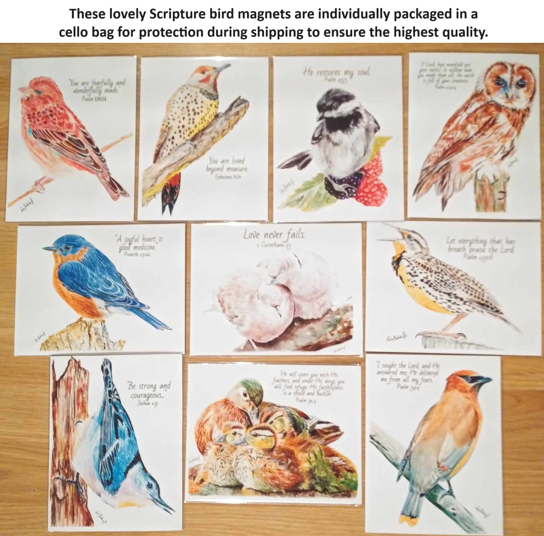 Magnet Pack: 10 Scripture Bird Magnets/ Encouraging Bible Verse Magnets ...