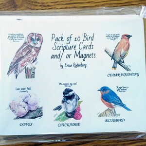 10 Greeting Card Pack of Scripture Birds: 2 Each of the Owl, Doves ...