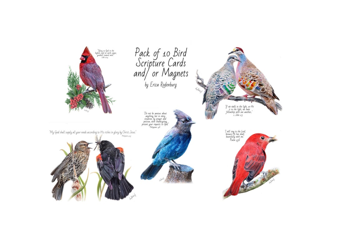 10 Scripture Card Pack or Magnets of Birds: Red Cardinal, Summer ...