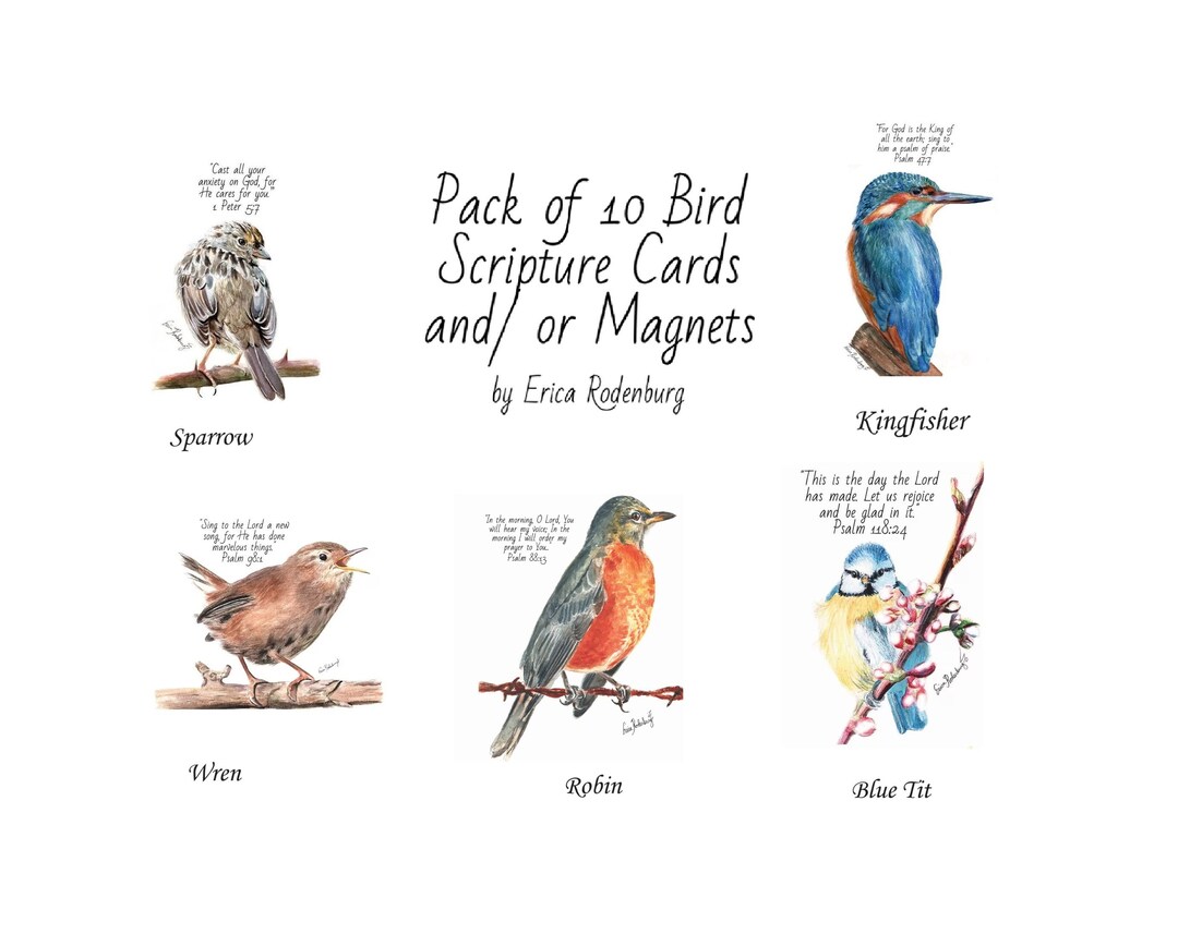 10 Greeting Card Pack of Scripture Birds: 2 Each of the Sparrow ...