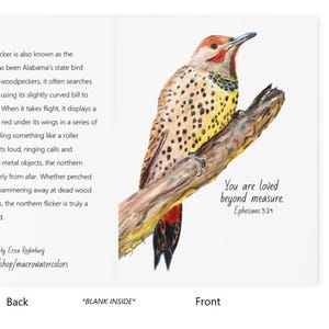 Northern Flicker Yellowhammer Bird Watercolor; Alabama State Bird/ Christian Encouragement Gift ...