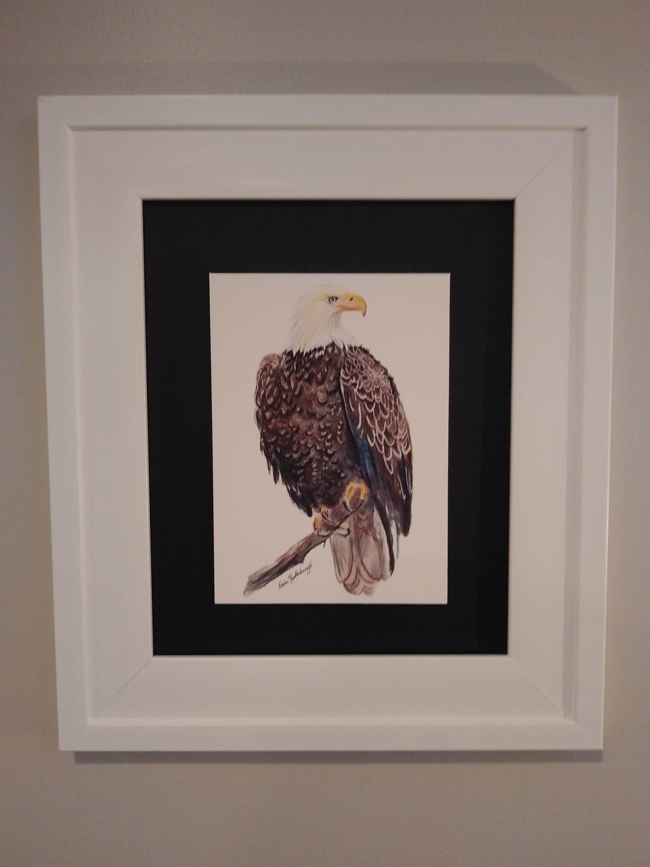 America Bald Eagle Painting Print, Card, or Magnet Patriotic ...