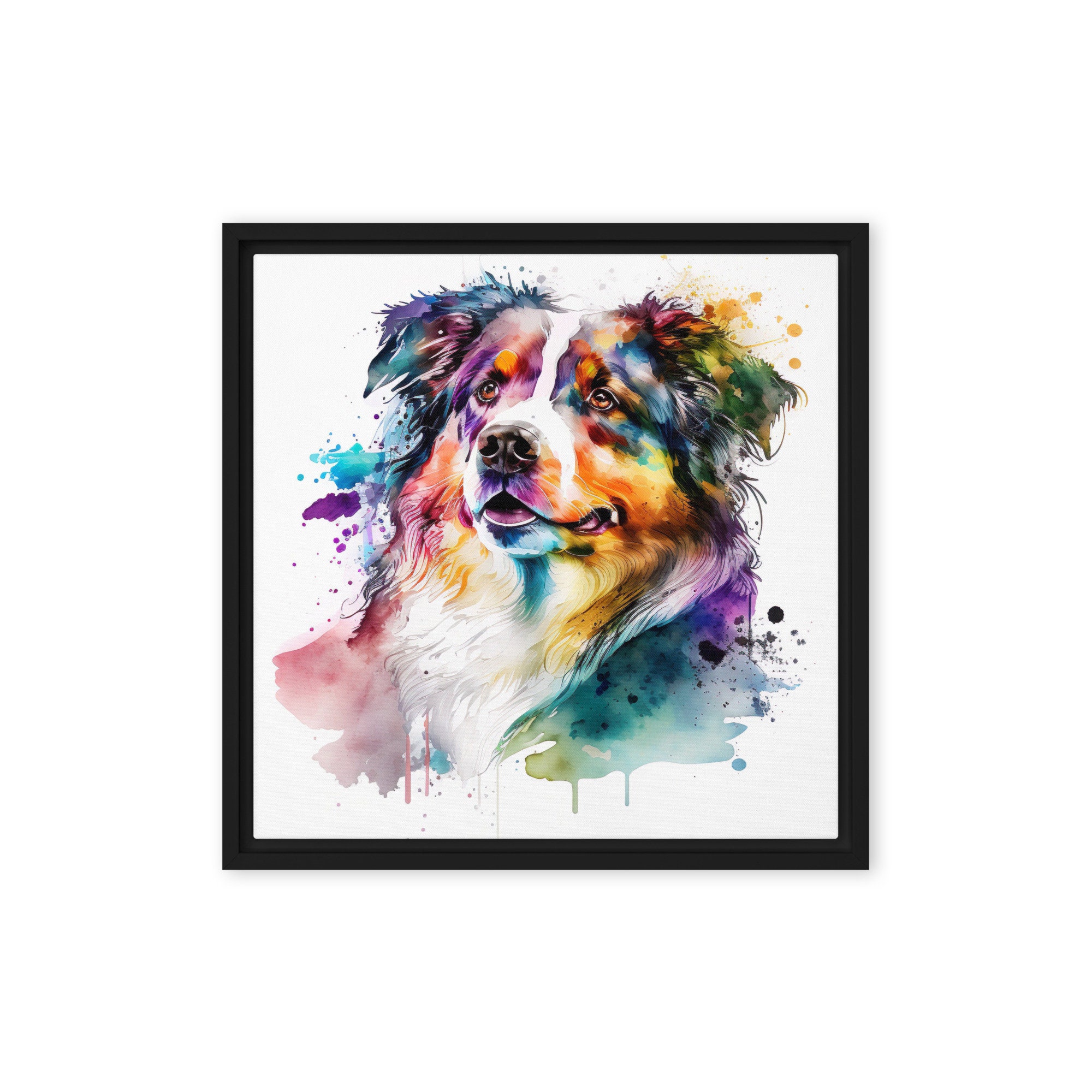 Australian Shepherd Abstract Watercolor Portrait, Aussie Framed Photo ...