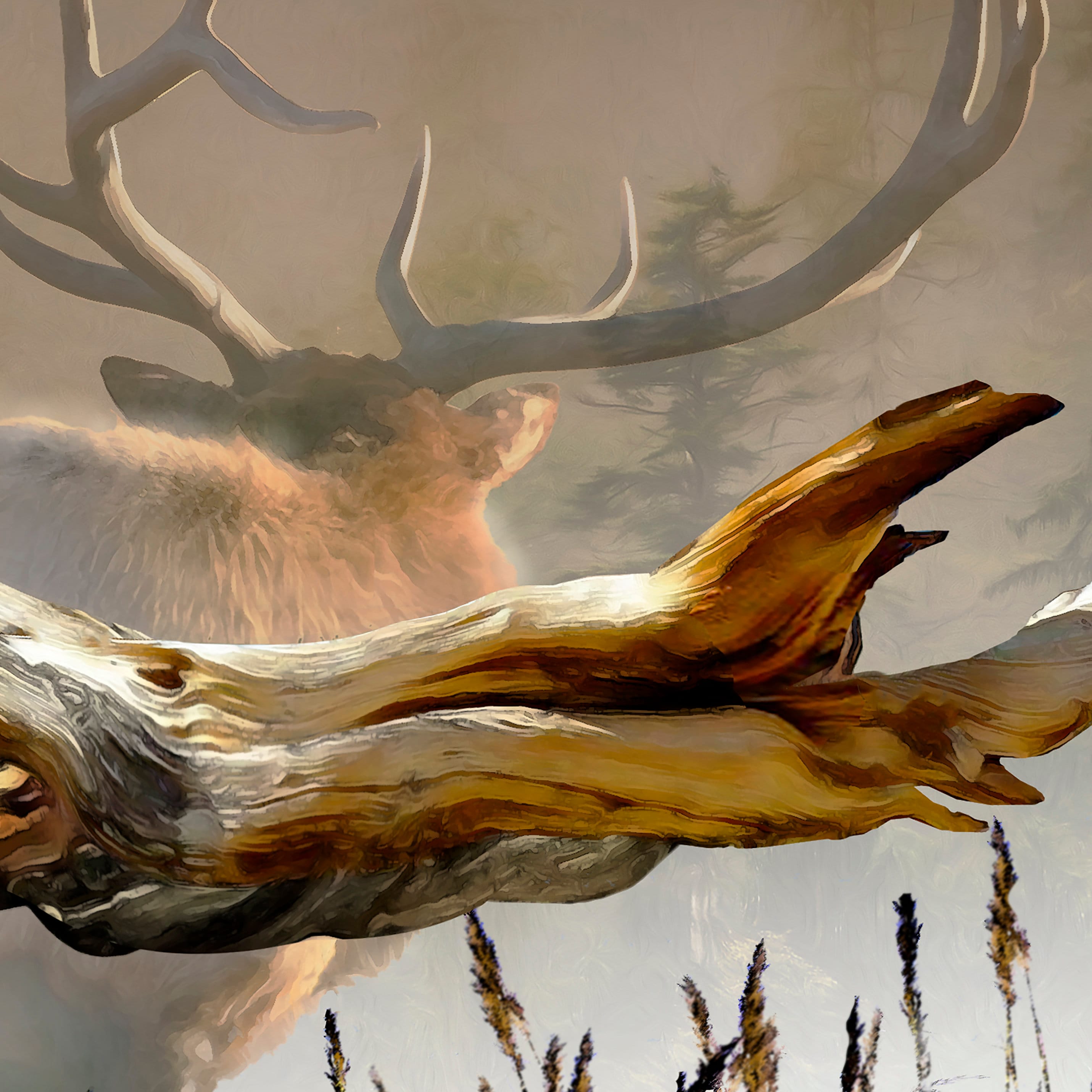 Bulls in the Mist, Two Bull Elk in the Cool Morning Mist. Also Known as ...