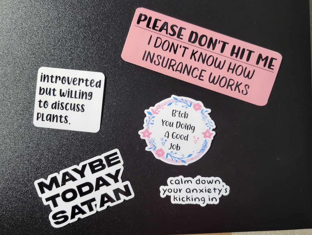 Funny Meme Stickers 5 Hysterical Die Cut Vinyl Stickers With Sarcastic ...