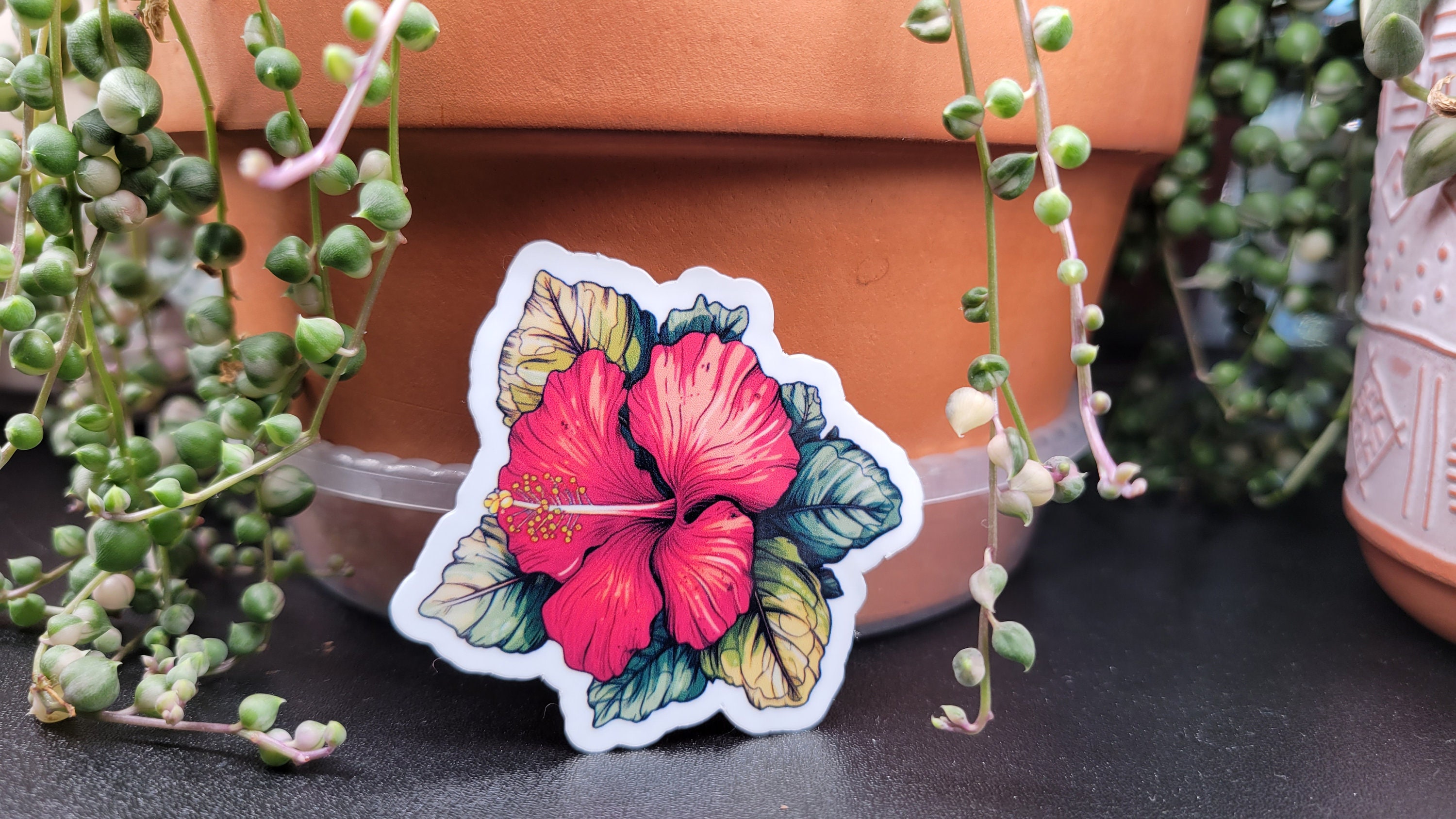 Laminated Hibiscus Flower Stickers Set of 10 Die Cut Decals Ideal for ...
