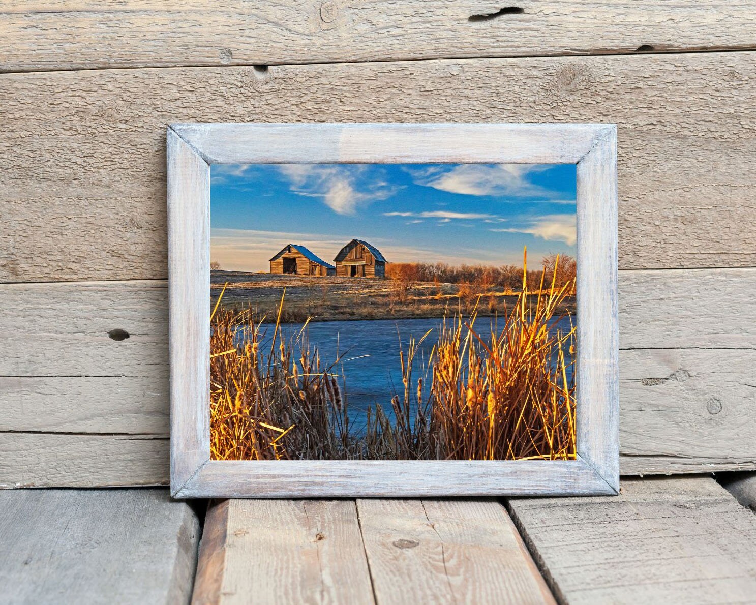 Classic Midwestern Rustic Barn Scene Highlighted During Late Day golden ...