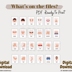 Printable PDF Body Part Flash Cards - Kids Educational Leaning ...