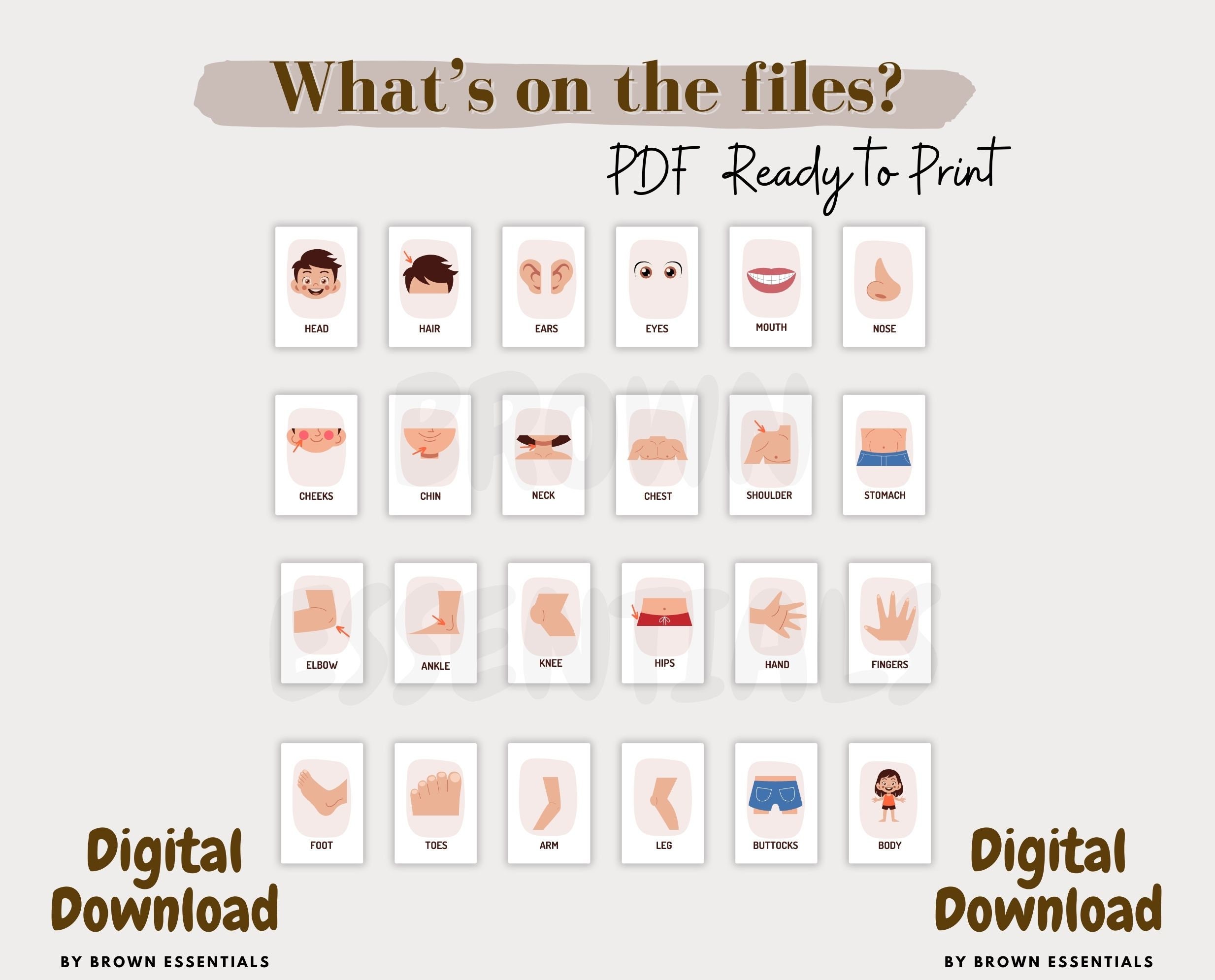 Printable PDF Body Part Flash Cards - Kids Educational Leaning ...