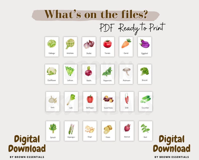 Printable PDF Vegetable Flash Cards - Kids Educational Leaning ...