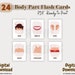 Printable PDF Body Part Flash Cards - Kids Educational Leaning ...
