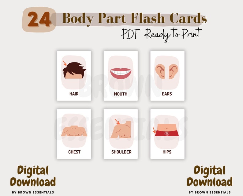 Printable PDF Body Part Flash Cards - Kids Educational Leaning ...
