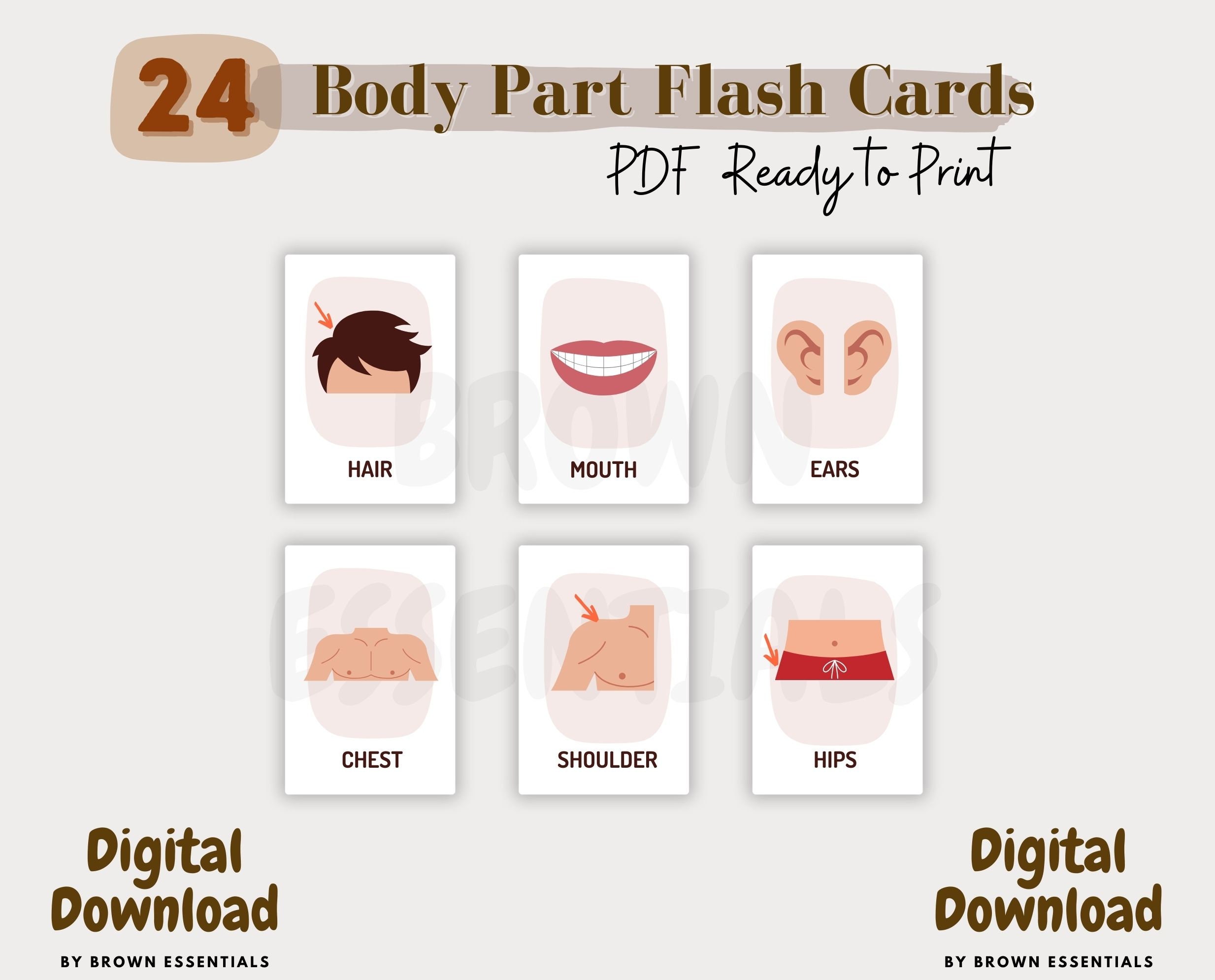 Printable PDF Body Part Flash Cards - Kids Educational Leaning ...