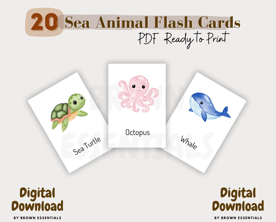 Printable PDF Sea Animal Flash Cards - Kids Educational Leaning ...