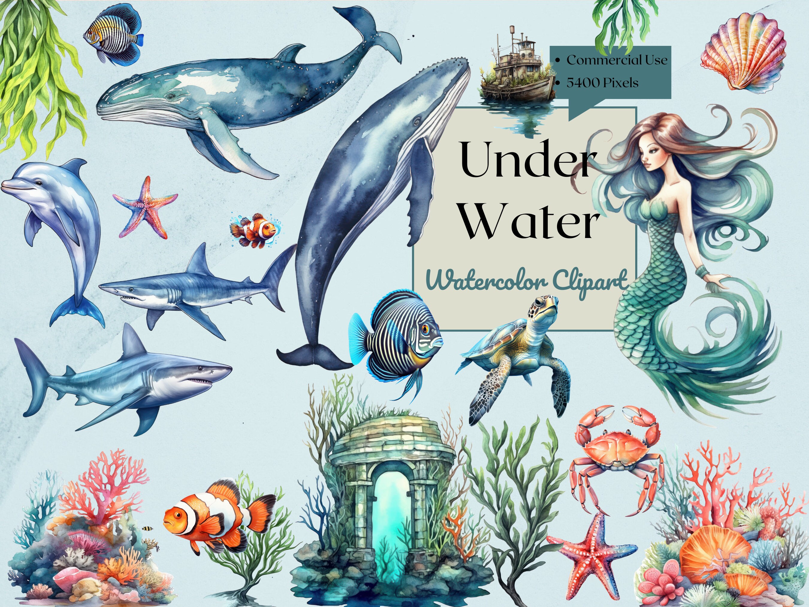 Underwater World Clipart Hand Drawn Pngs Card Making, Scrapbooking ...