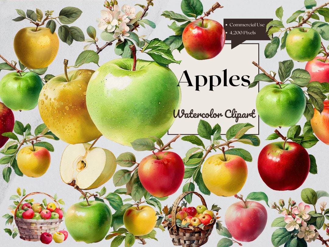 Apple Clipart | Watercolor | PNG Digital Downloads for Card Making ...