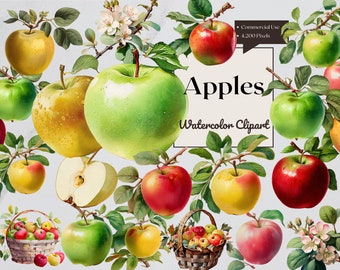 Fruits Clipart Watercolor PNG Digital Downloads for Card - Etsy