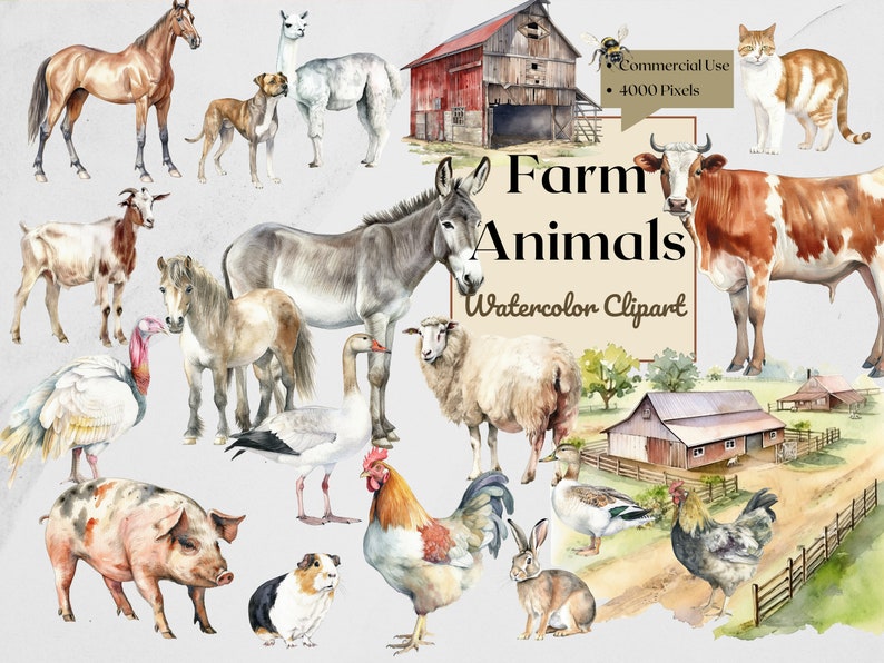 Farm Animals Clipart | Watercolor | PNG Digital Downloads for Card ...