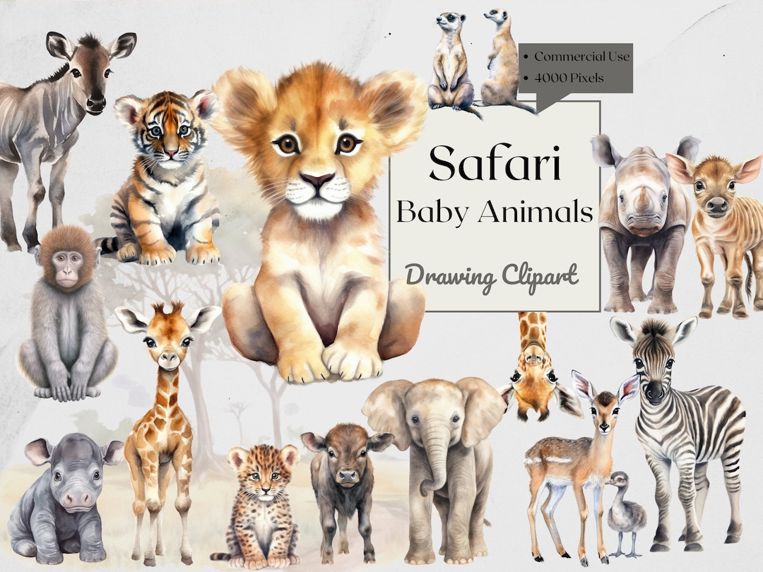 Safari Baby Animals Clipart | Hand Drawn | PNG Digital Downloads for ...