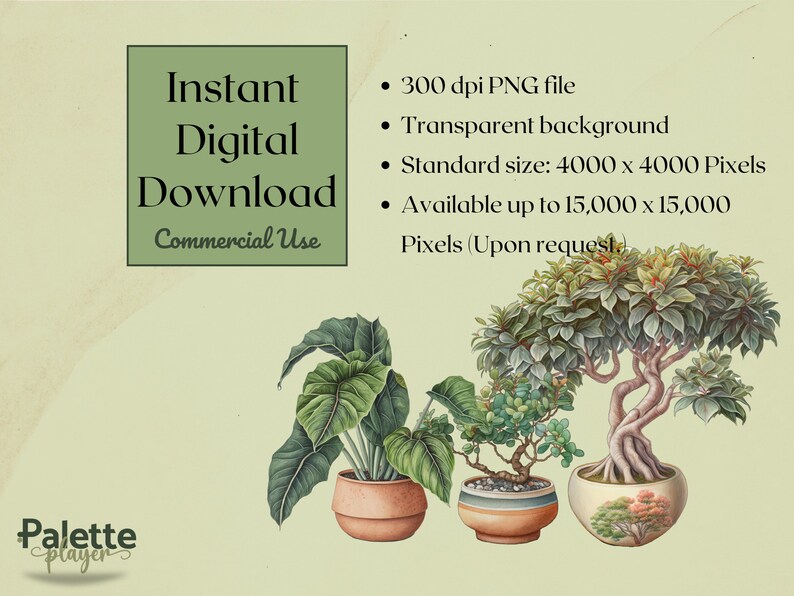 Indoor Plants Clipart | Watercolor | PNG Digital Downloads for Card ...