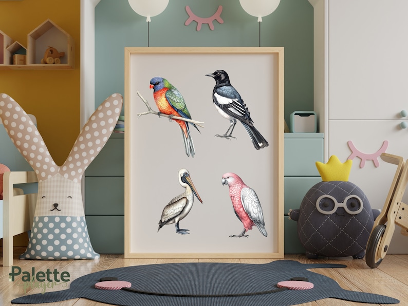 Australian Bird Clipart | Hand Drawn Pngs | Card Making, Scrapbooking ...