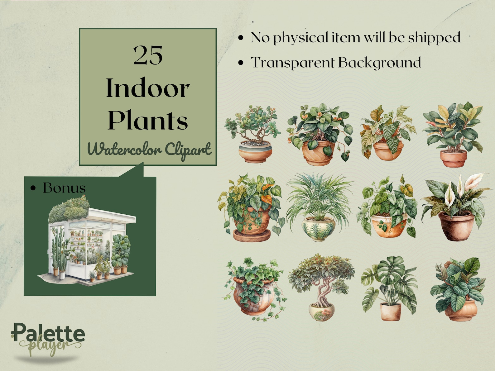 Indoor Plants Clipart | Watercolor | PNG Digital Downloads for Card ...