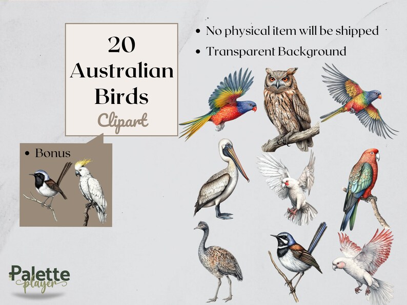 Australian Bird Clipart | Hand Drawn Pngs | Card Making, Scrapbooking ...