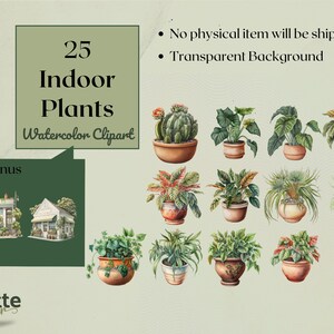Indoor Plants Clipart | Watercolor | PNG Digital Downloads for Card ...