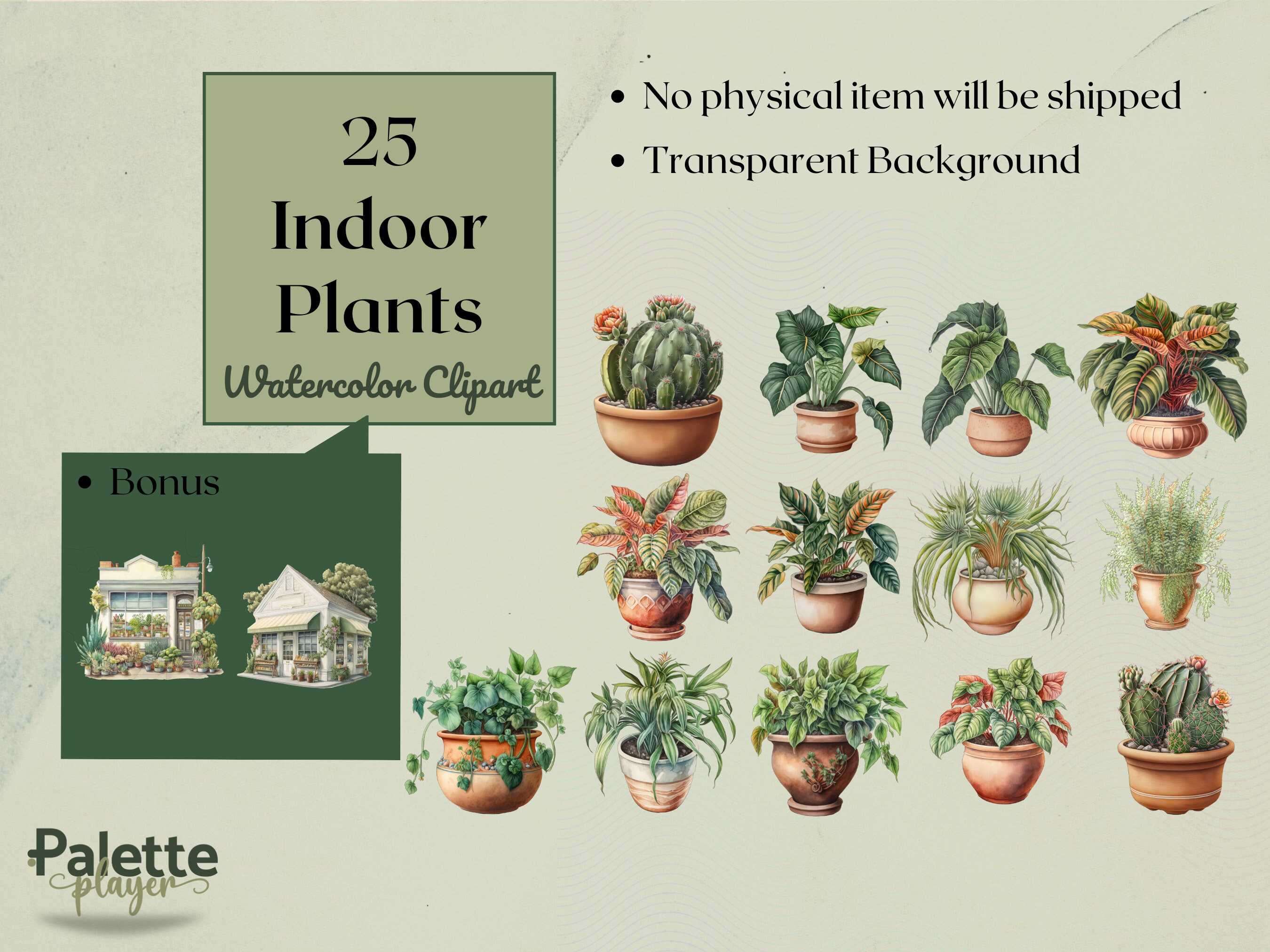 Indoor Plants Clipart | Watercolor | PNG Digital Downloads for Card ...