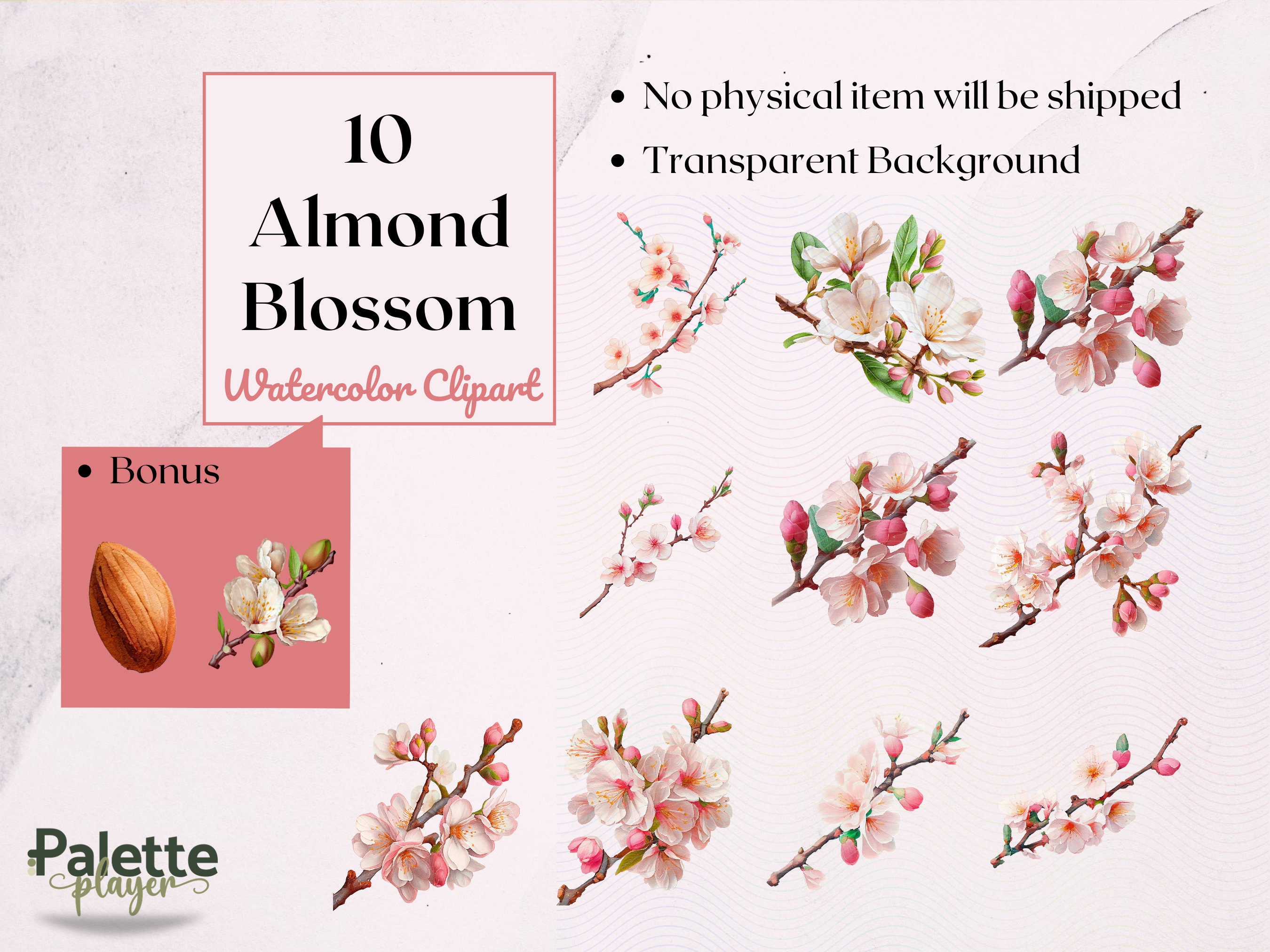 Almond Blossom Clipart | Watercolor | PNG Digital Downloads for Card ...