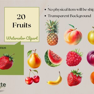 Fruits Clipart | Watercolor | PNG Digital Downloads for Card Making ...