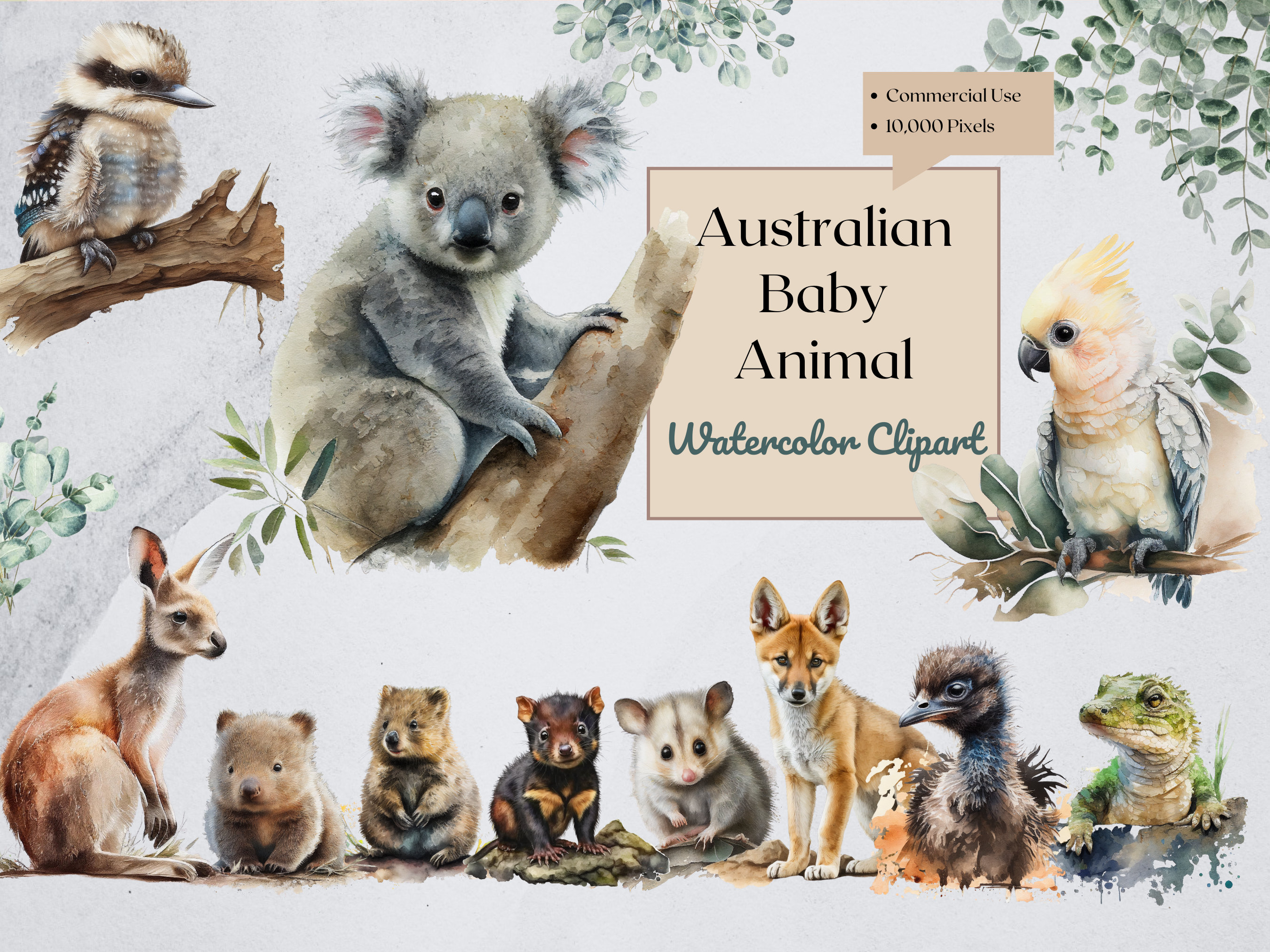 Australian Baby Animal Clipart | Watercolor | PNG Digital Downloads for ...