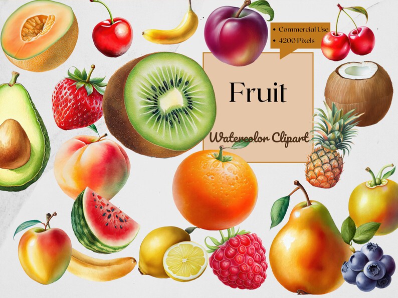 Fruits Clipart | Watercolor | PNG Digital Downloads for Card Making ...