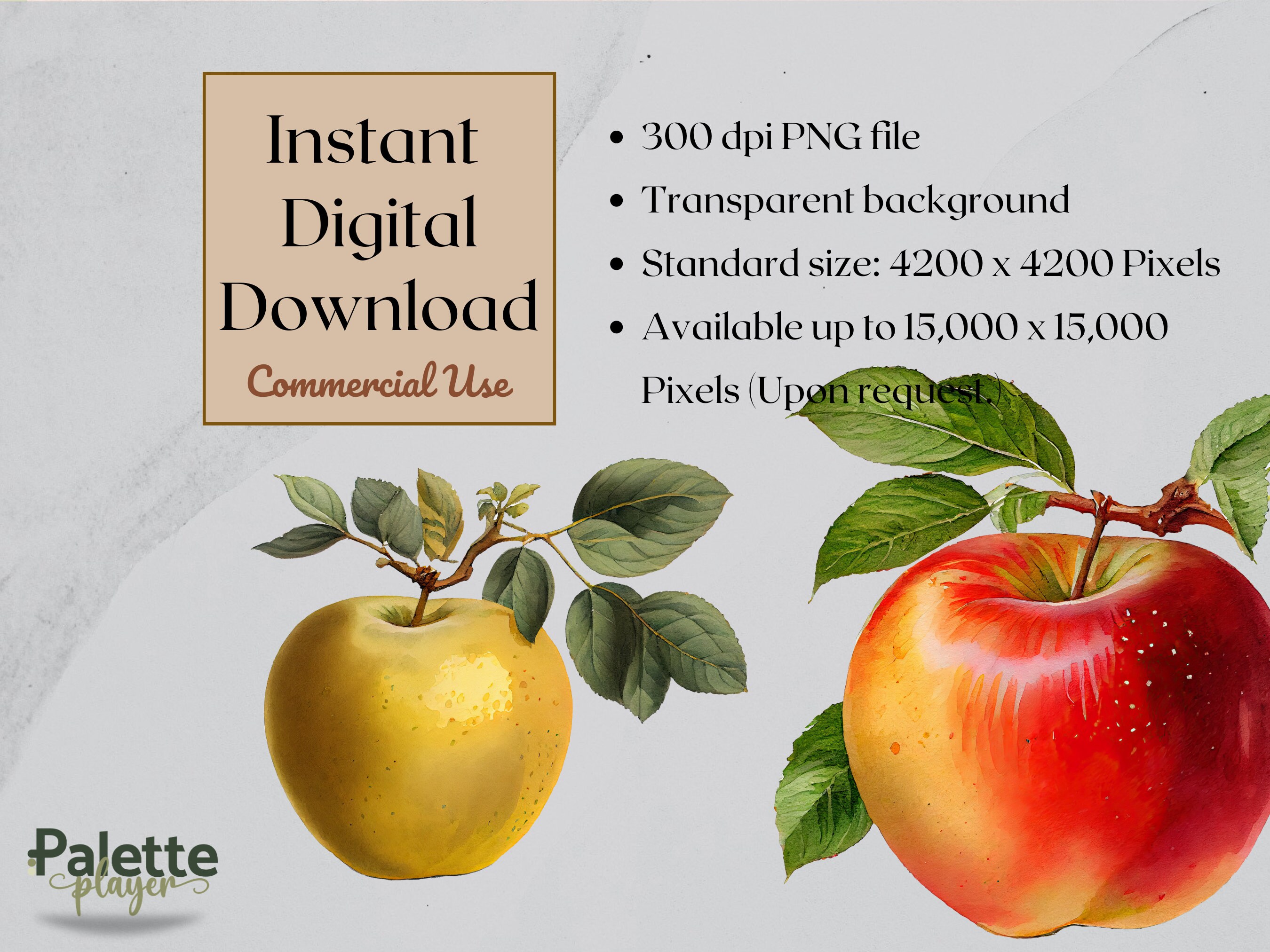 Apple Clipart | Watercolor | PNG Digital Downloads for Card Making ...