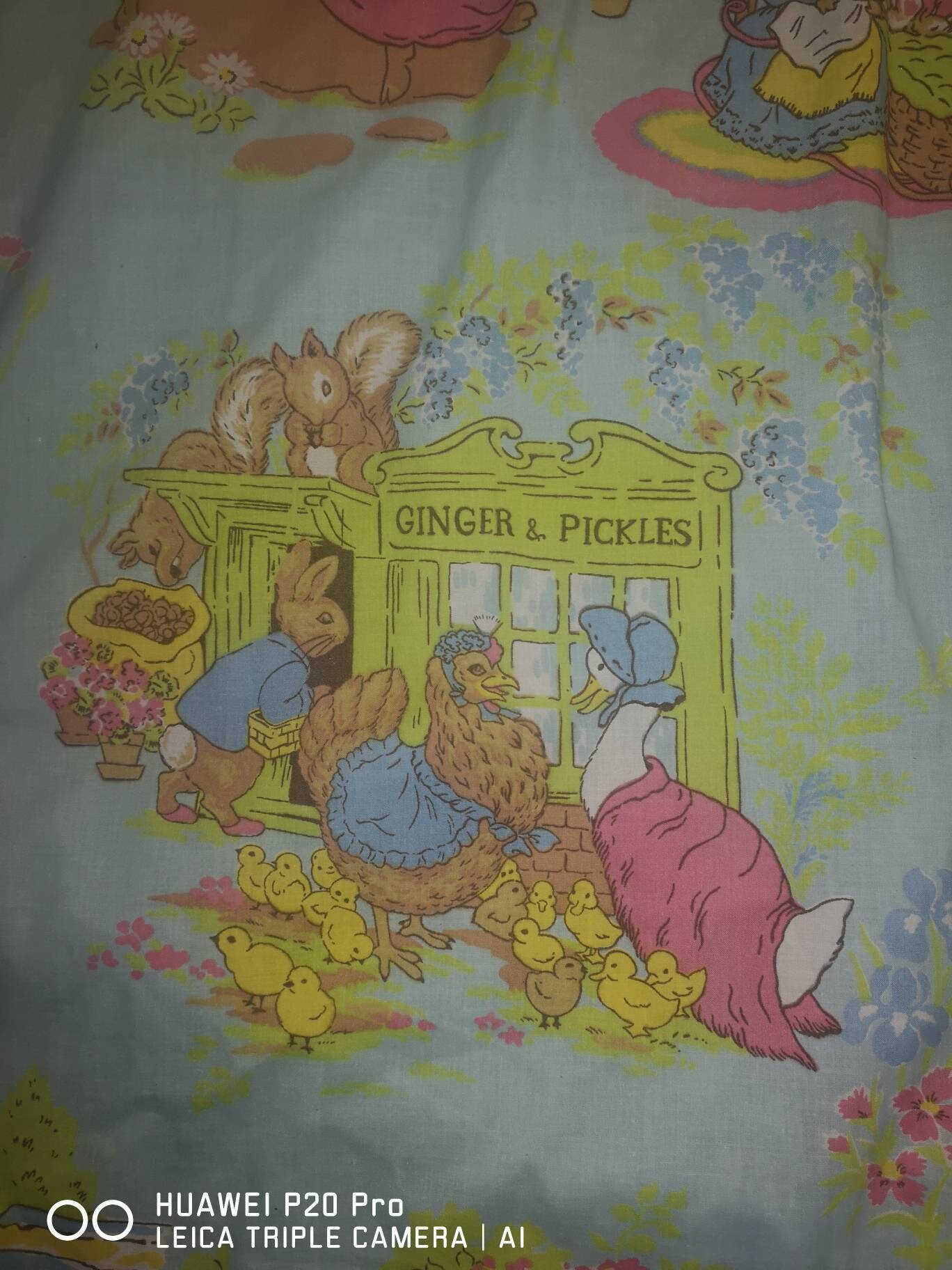 Vintage RARE Beatrix Potter Peter Rabbit Twin Flat Sheet X 2 - Etsy Canada
