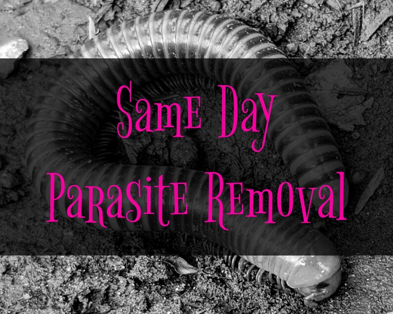 Parasite Removal Same Day - Etsy