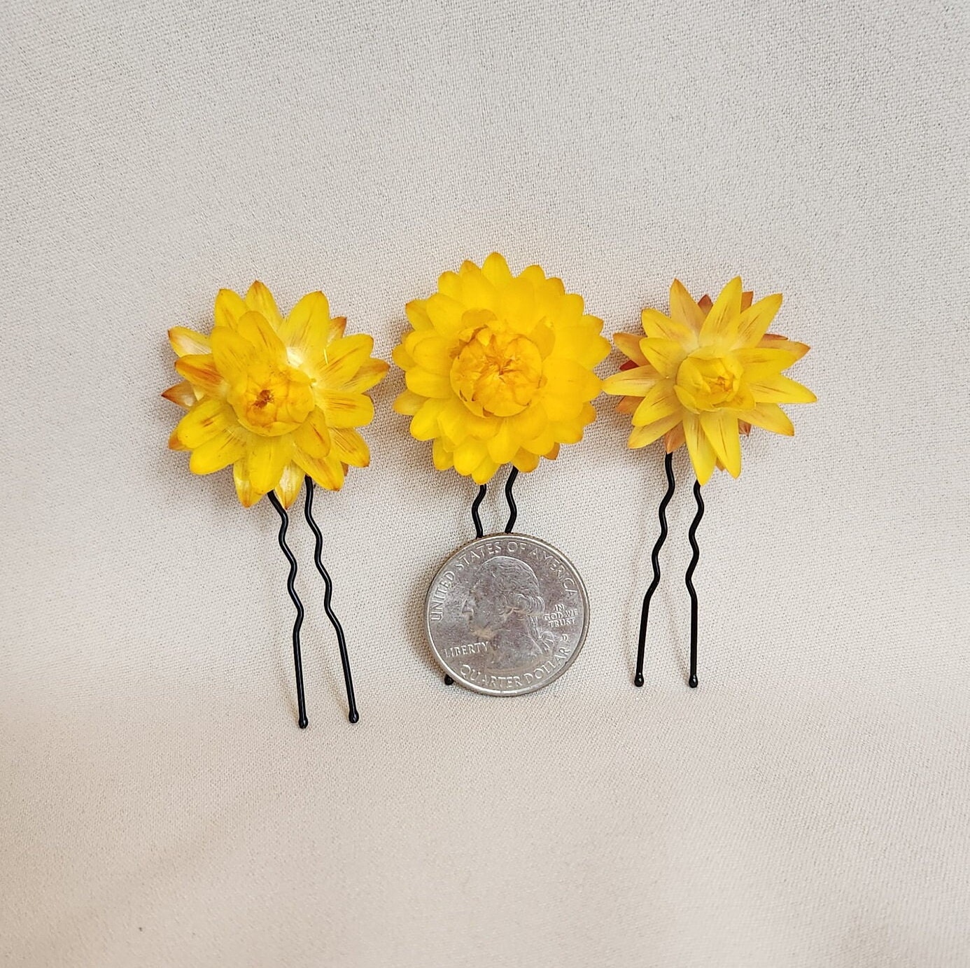 Everlasting Yellow Floral Hair Accessories Strawflower Bobbin - Etsy