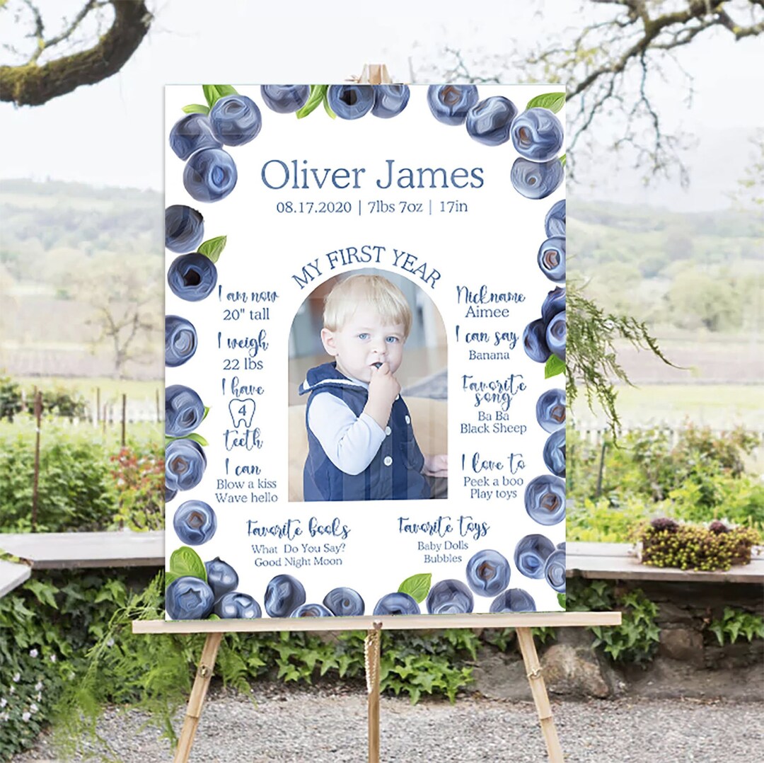 EDITABLE First Birthday Milestone Sign, 1st Birthday Photo Milestone ...