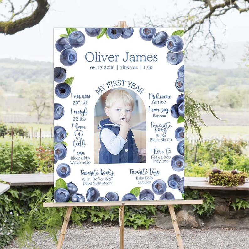 EDITABLE First Birthday Milestone Sign, 1st Birthday Photo Milestone ...