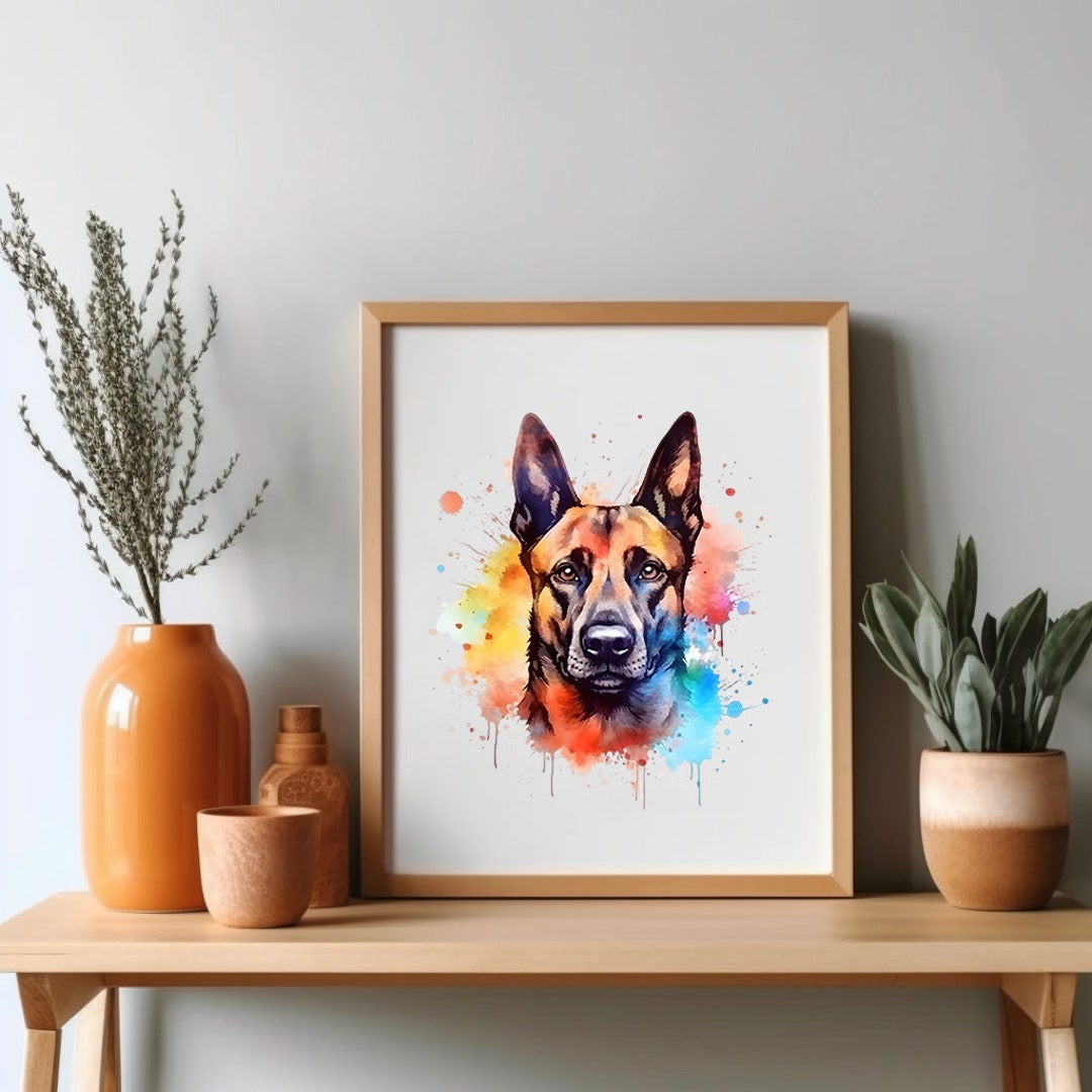 Belgian Malinois 1 Beautiful Watercolor Portrait Tri Color - Etsy