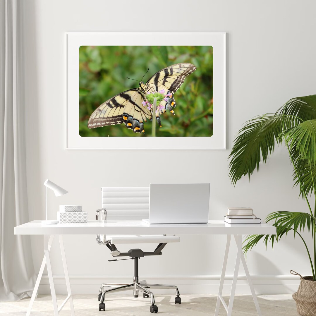 Butterfly Wall Art Printable Swallowtail Butterfly Digital Download ...