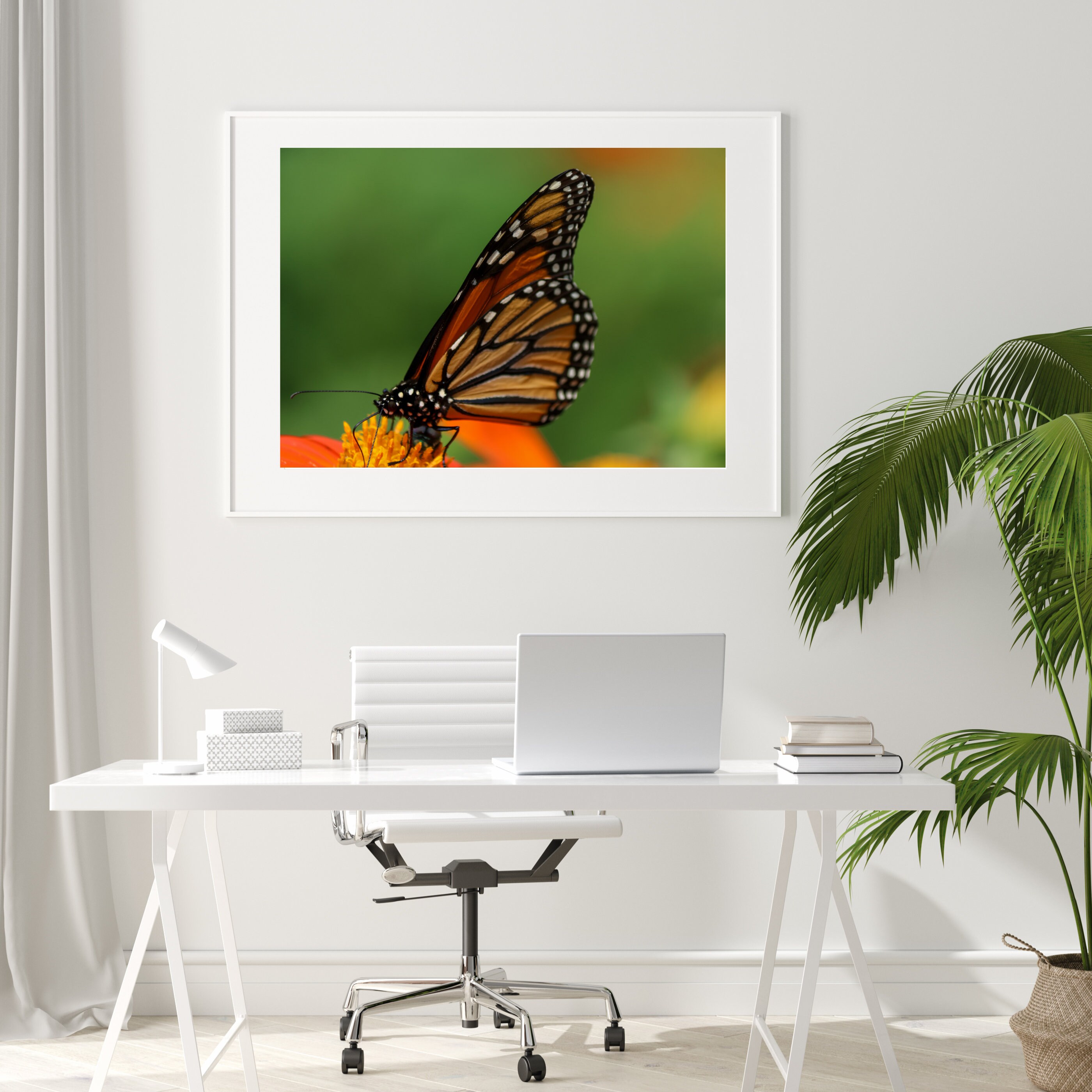 Monarch Butterfly Wall Art Print, Large Butterfly Poster, Butterfly ...