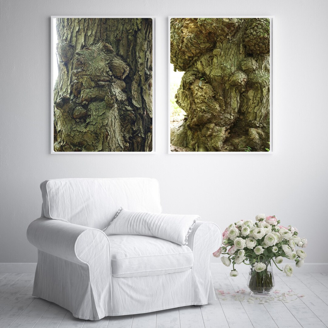Tree Bark Printable Wall Art Tree Photo Textured Wall Art Digital ...