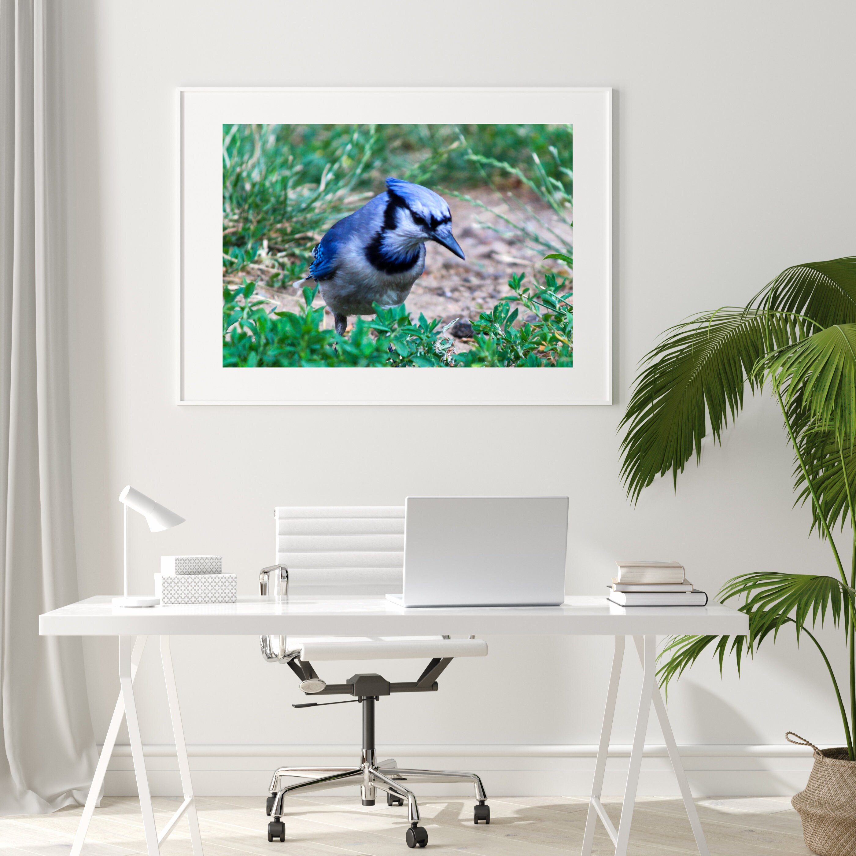 Blue Jay Digital Wall Art Printable Blue Jay Decor Nature Lover Gift ...