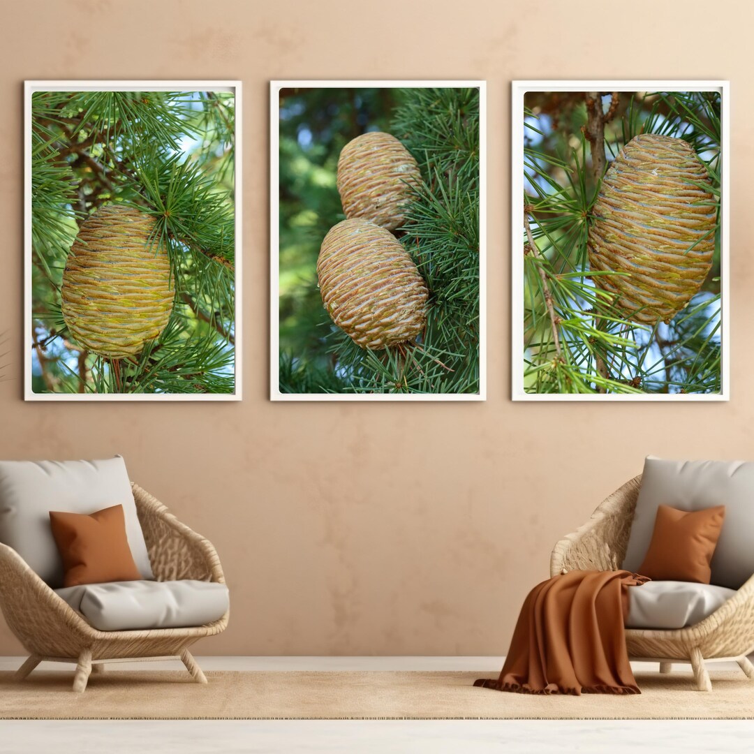Pine Cone Wall Art Printable Set of 3 Pine Cone Photo Holiday Decor ...