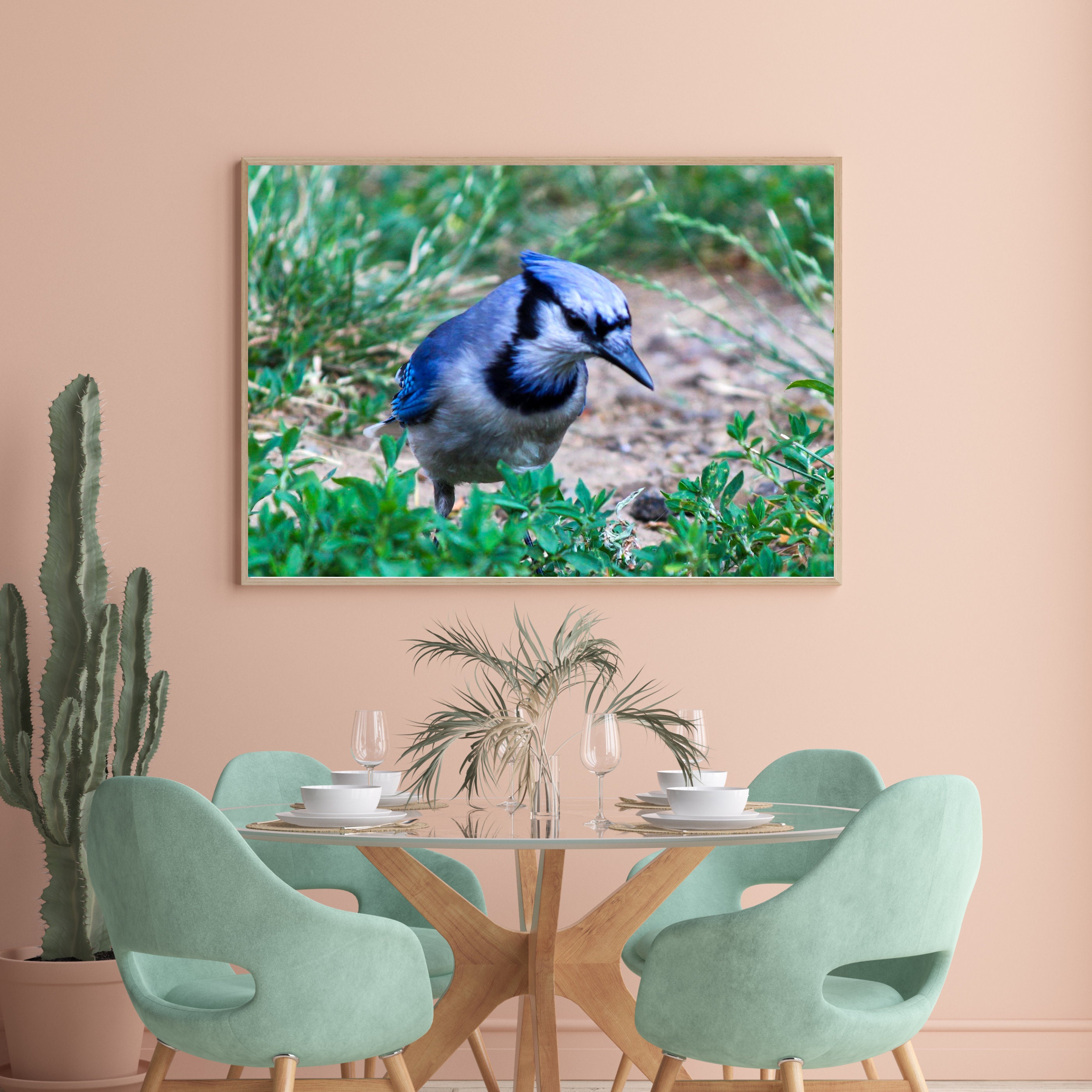 Blue Jay Digital Wall Art Printable Blue Jay Decor Nature Lover Gift ...