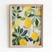 Lemons Printable Wall Art, Set of 3, Lemons Print, Botanical Wall Art ...