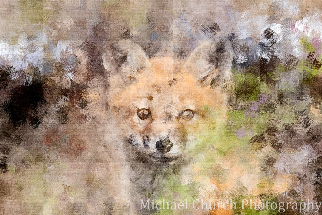 Fox Digital Painting Photo Print, Wildlife Photography, Beautiful ...