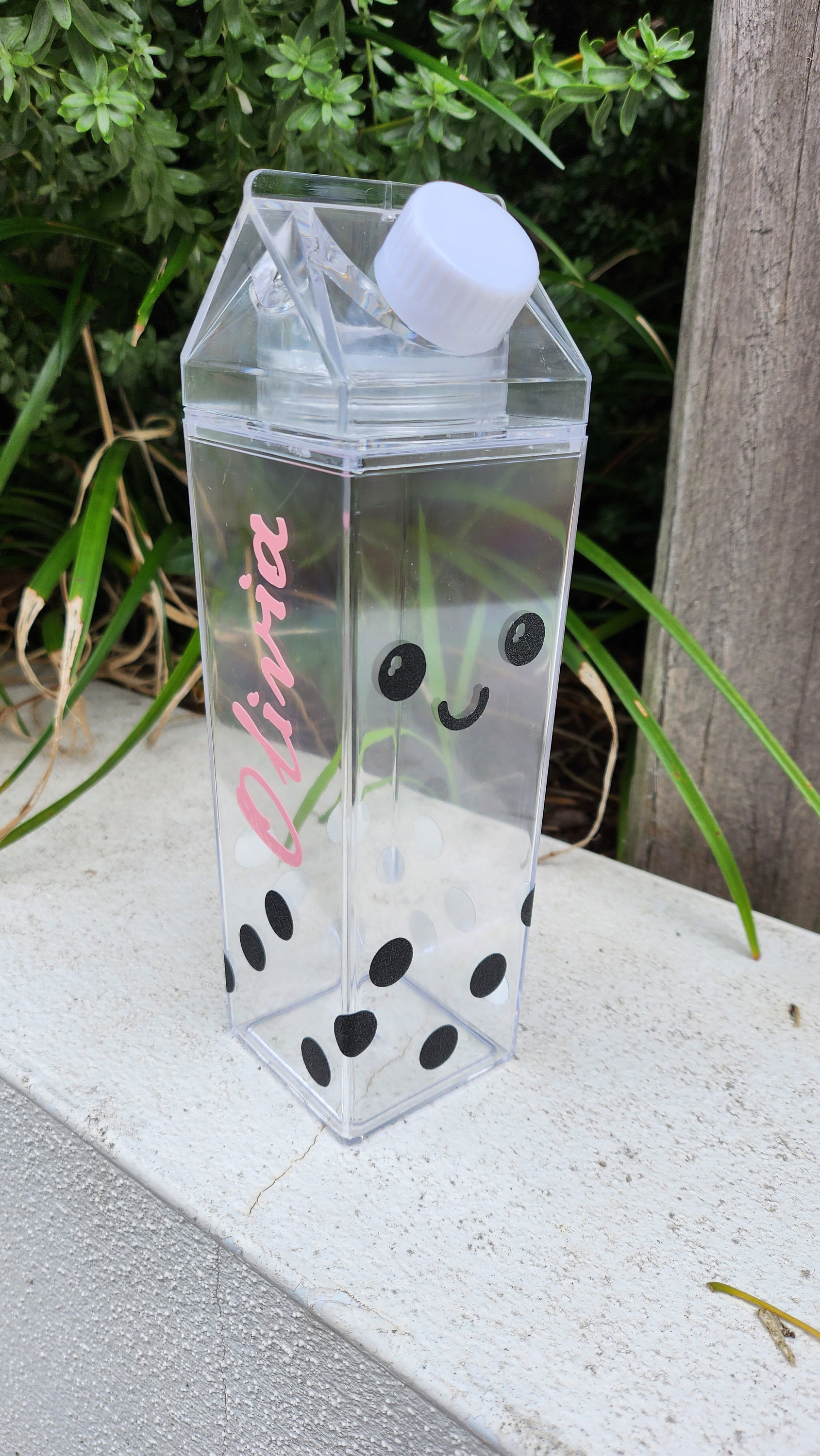 Reusable Bubble Tea Milk Carton - Etsy