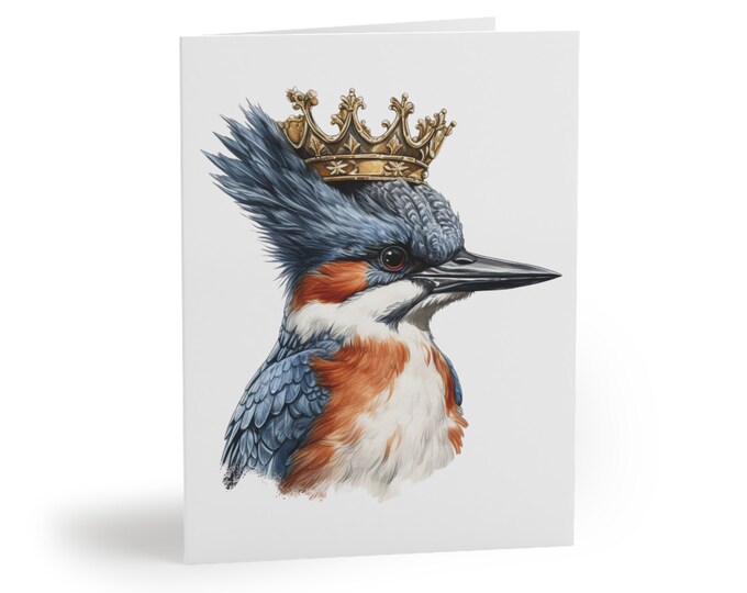 Buffalo Greeting Cards (8, 16, and 24 Pcs), Funny Animal Gift Card Set ...